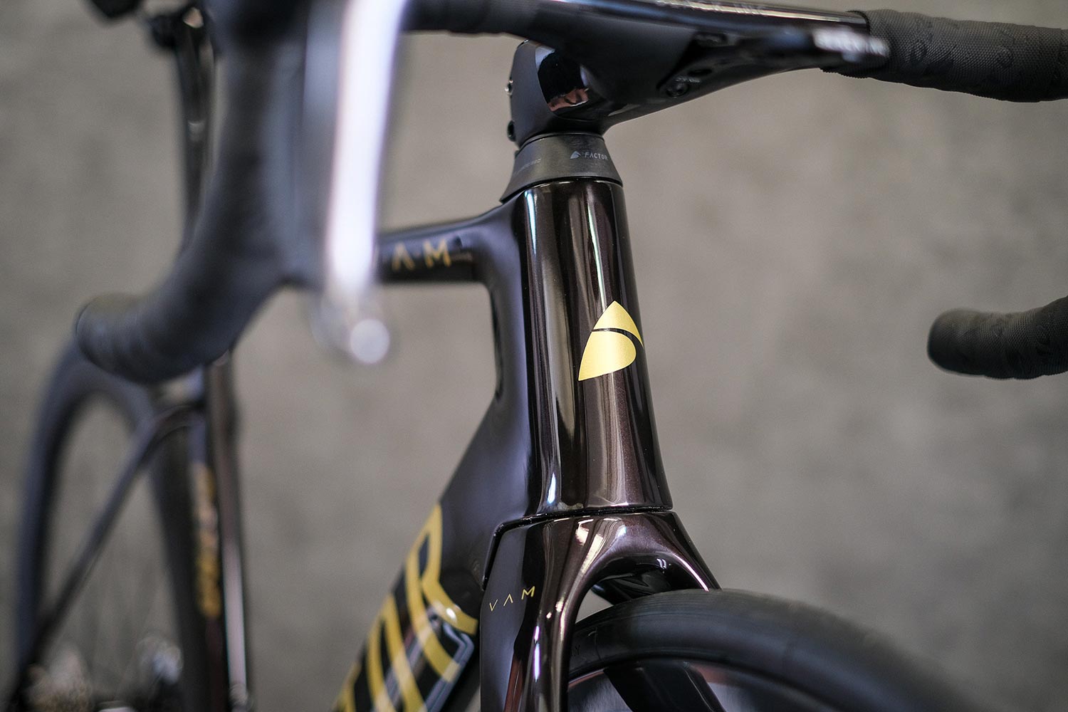Factor OSTRO VAM Custom Black & Gold | Vires Velo