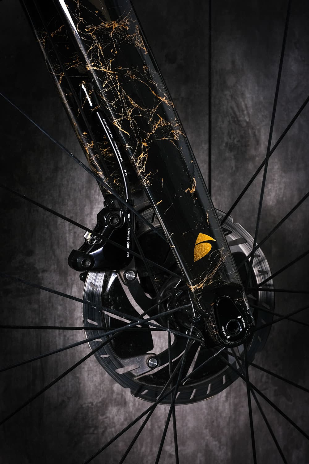 Factor ONE Custom Gold & Carbon | Vires Velo