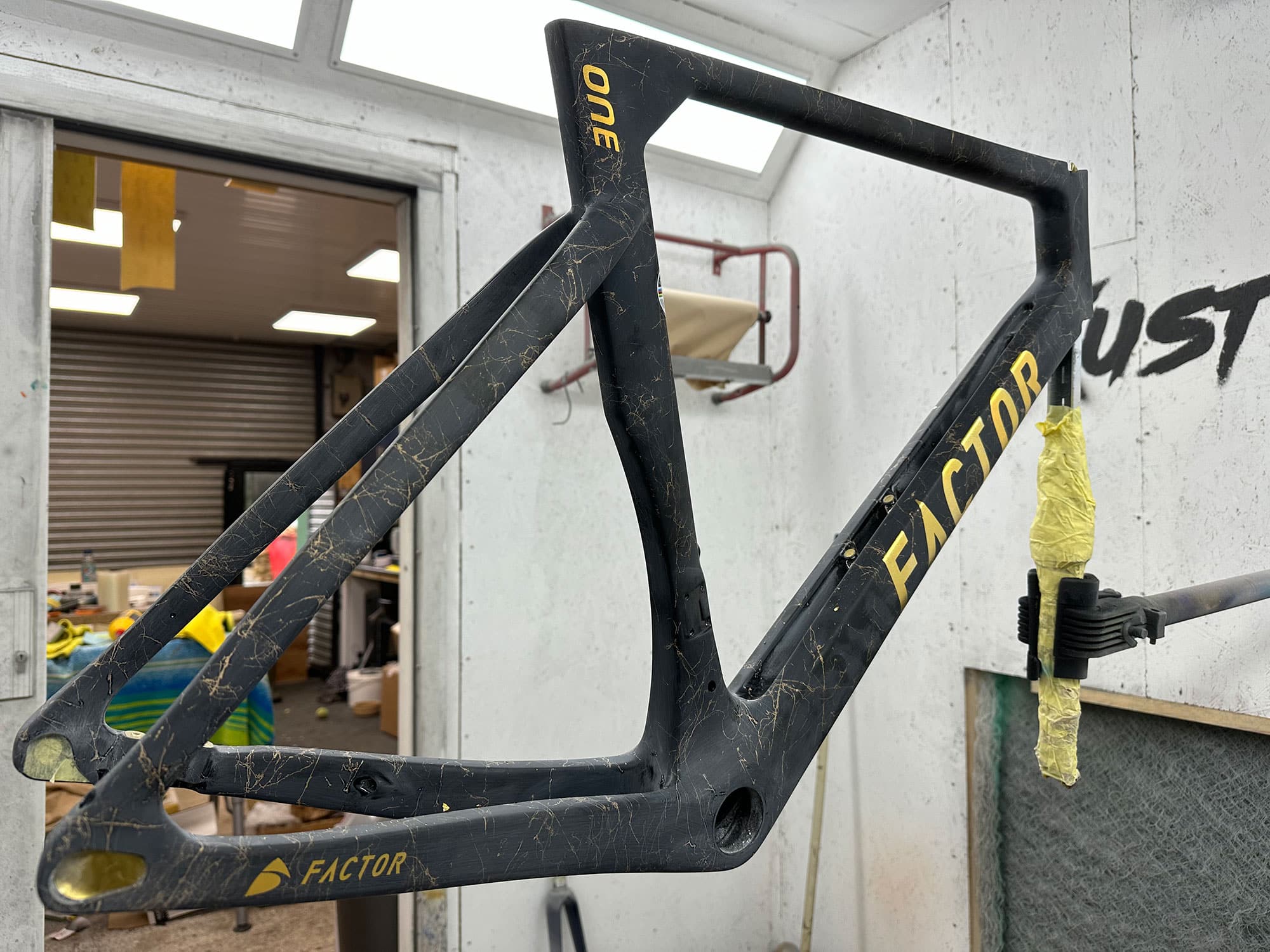 Factor ONE Custom Gold & Carbon | Vires Velo