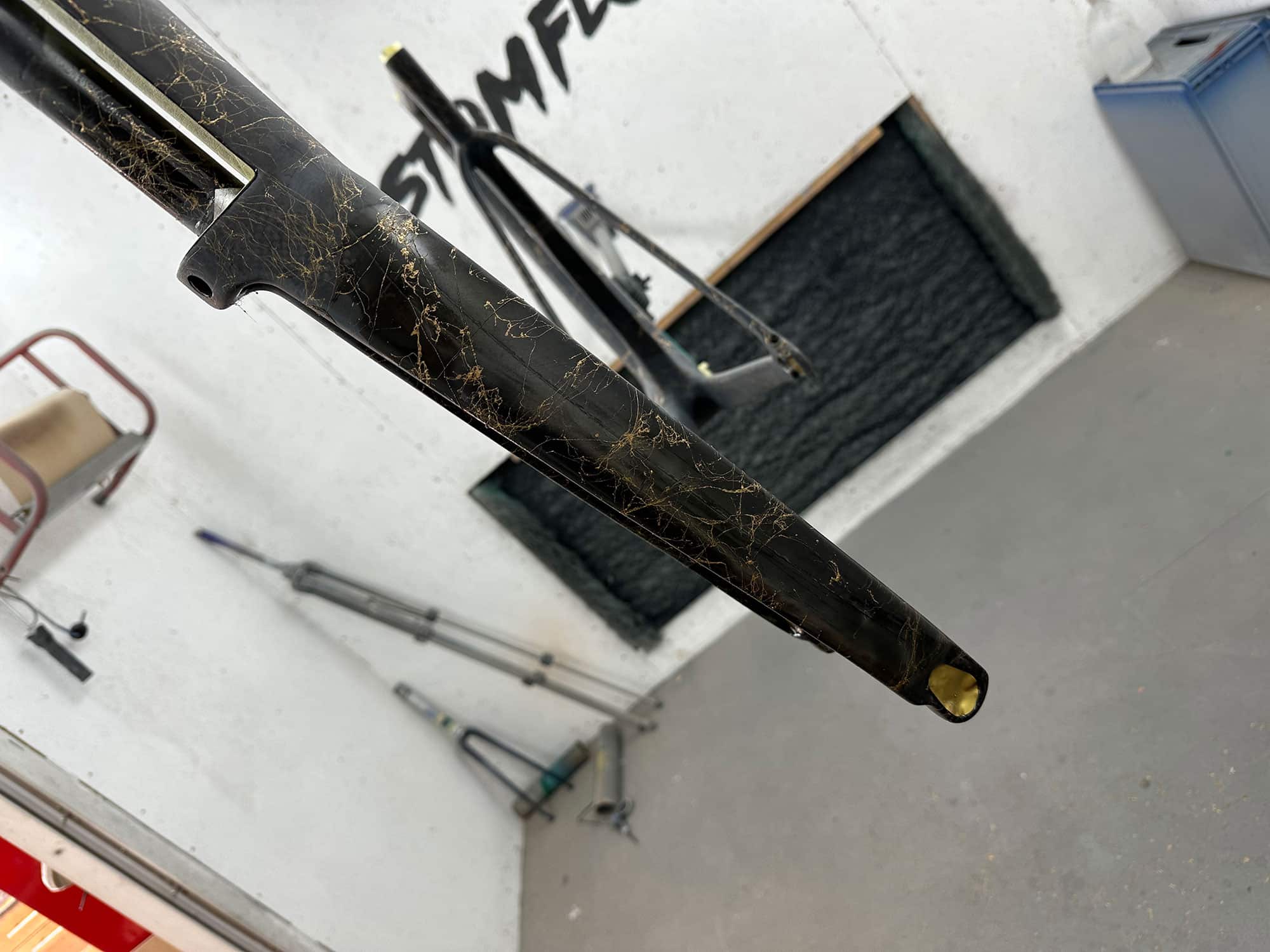 Factor ONE Custom Gold & Carbon | Vires Velo